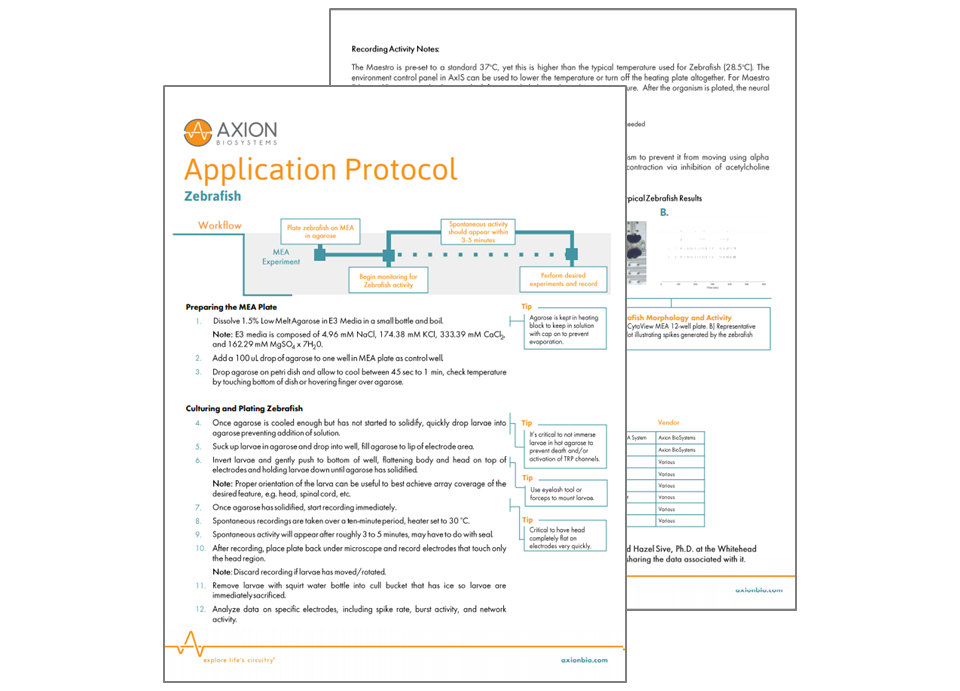 Zebrafish Protocol | Axion Biosystems