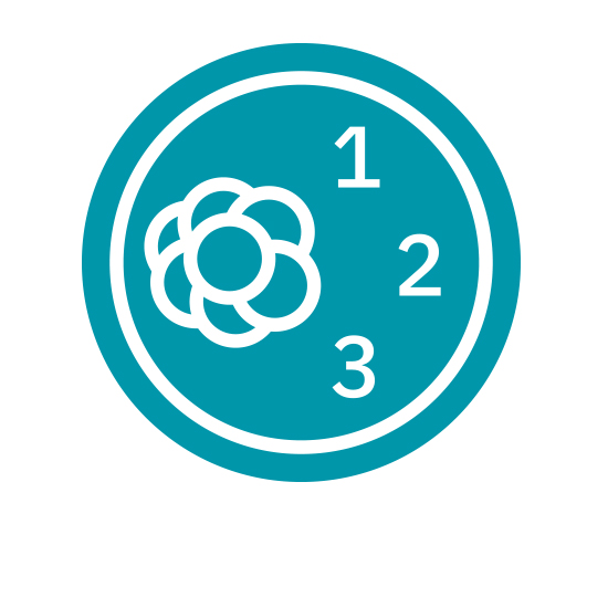 Organoid Counting Module | Axion Biosystems