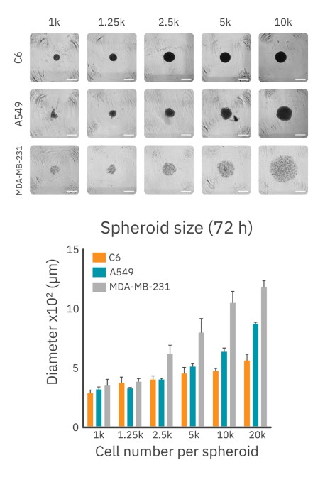 Quantifying chemotoxicity on cancer cell colony formation using live ...