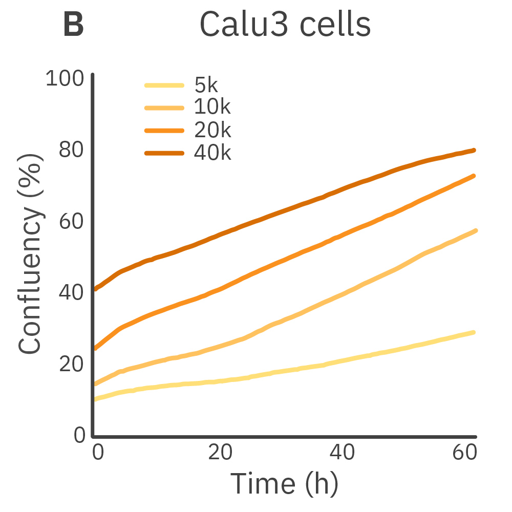 Cell Proliferation | Axion Biosystems