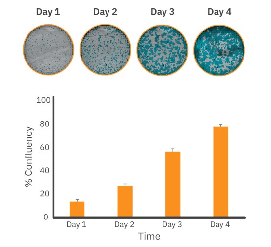Automated real-time monitoring of stem cell cultures | Axion Biosystems