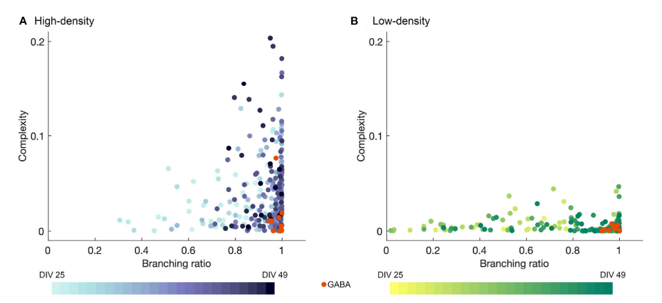 Multiplexed cell based assay of neuronal structure function for ...