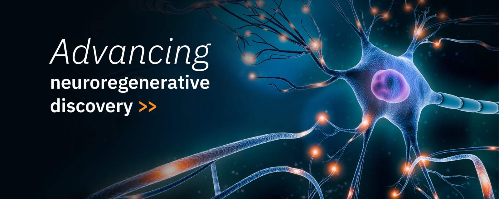 Explore our live-cell analysis platforms | Axion Biosystems