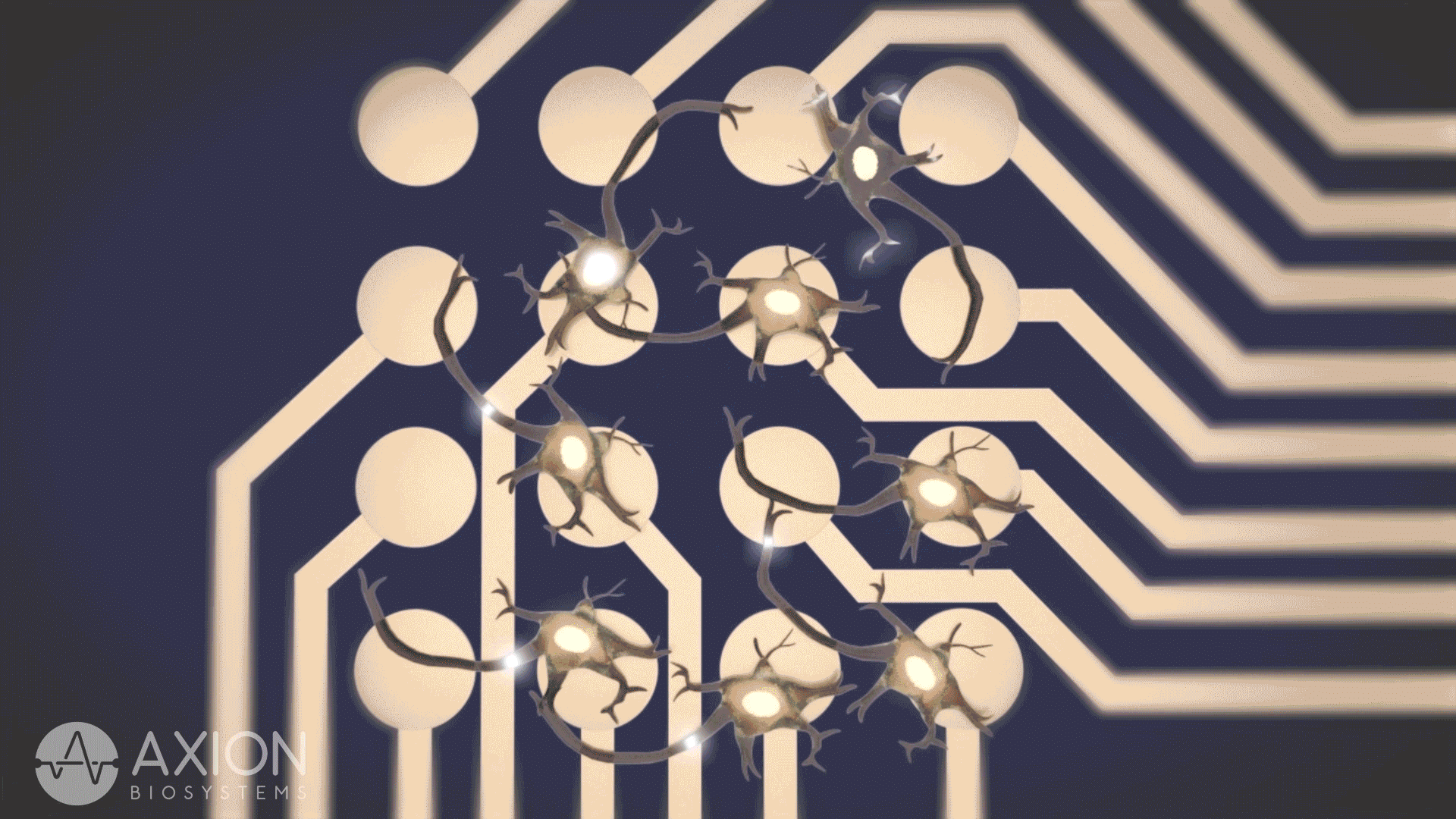 Bioelectronic assays | Axion Biosystems