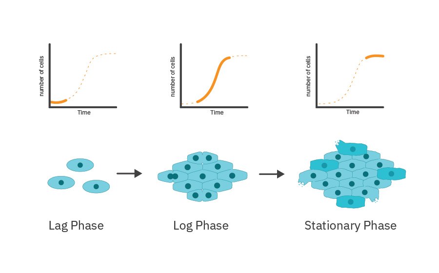 Cell Proliferation | Axion Biosystems