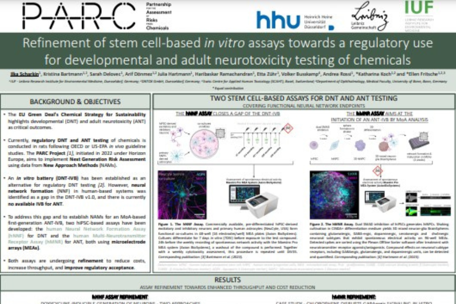 Refinement of stem cell-based in vitro assays towards a regulatory use ...