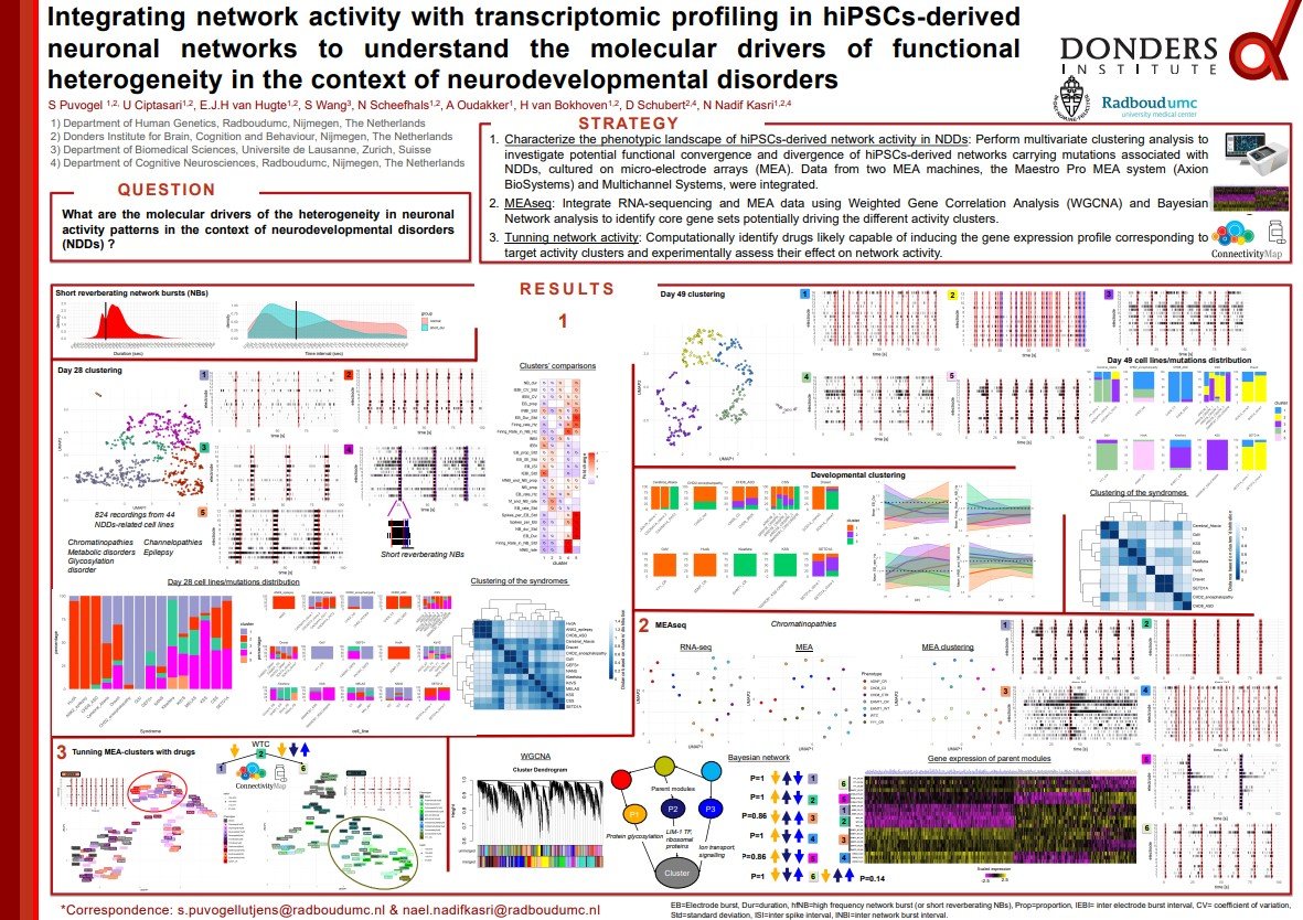 Integrating network activity with transcriptomic profiling in hiPSCs ...