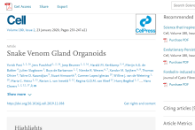 Snake Venom Gland Organoids | Axion Biosystems