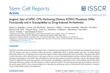 Isogenic sets of hiPSC-CMs harboring distinct KCNH2 mutations differ ...