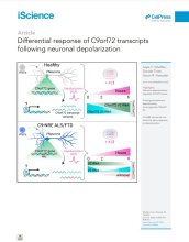 Differential response of C9orf72 transcripts following neuronal ...
