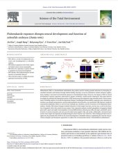 Flubendazole exposure disrupts neural development and function of ...