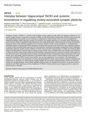 Interplay between hippocampal TACR3 and systemic testosterone in ...