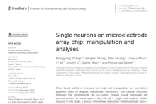 Single neurons on microelectrode array chip: manipulation and analyses ...