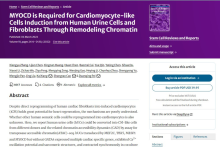MYOCD is Required for Cardiomyocyte-like Cells Induction from Human ...