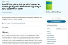 Establishing Neural Organoid Cultures for Investigating the Effects of ...