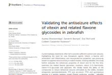 Validating the antiseizure effects of vitexin and related flavone ...