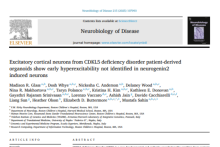 Excitatory cortical neurons from CDKL5 deficiency disorder patient ...