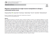 Magnetic nanoparticles for single-neuron manipulation to design a ...