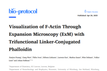 Visualization of F-Actin Through Expansion Microscopy (ExM) with ...