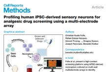 Profiling human iPSC-derived sensory neurons for analgesic drug ...