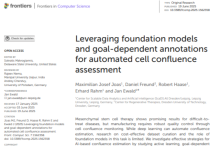 Leveraging foundation models and goal-dependent annotations for ...