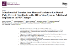 Mitochondrial Transfer from Human Platelets to Rat Dental Pulp-Derived ...