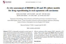 In vitro assessment of BBI608 in 2D and 3D culture models for drug ...