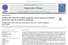 Human iPSC-derived cerebral organoids reveal oxytocin-mediated ...