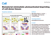 Biomaterial-minimalistic photoactivated bioprinting of cell-dense ...