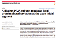 A distinct PP2A subunit regulates local protein phosphorylation at the ...