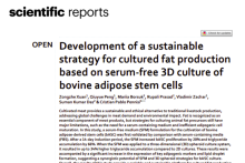 Development of a sustainable strategy for cultured fat production based ...