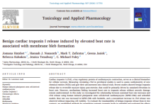 Benign cardiac troponin I release induced by elevated beat rate is ...