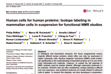 Human cells for human proteins: Isotope labeling in mammalian cells in ...